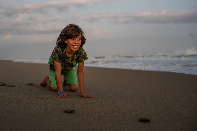 Unique Turtle Sanctuary & Sunset Experience - What the Tour Entails: From Turtle Sanctuary to Sunset