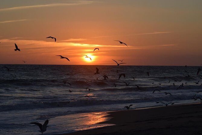 Unique Turtle Sanctuary & Sunset Experience - FAQ