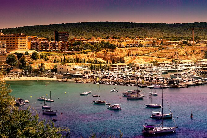 Unique V8 Trike Tour to the Tramuntana Mountains Max. 4 People - Guest Reviews