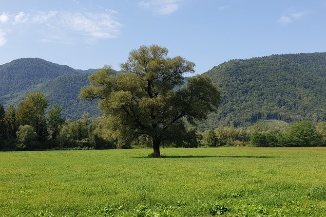 Unique Vertical Camping - Analyzing the Price and Value