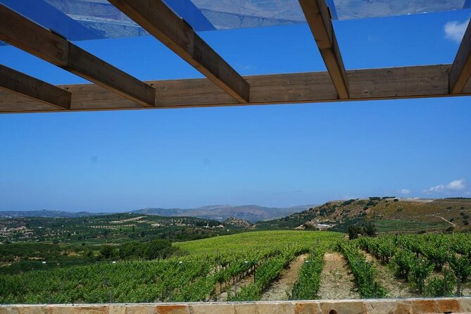 Unique wine tasting of organic Cretan wines - Who Will Enjoy This Tour?
