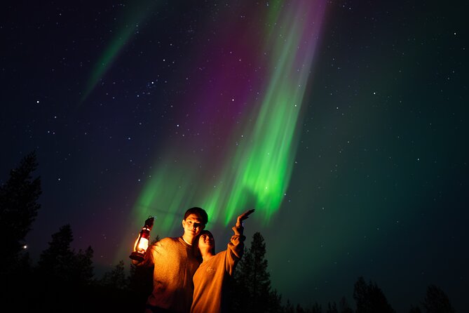 Unlimited Range Northern Lights Hunt With VIP Van - Immersive Northern Lights Exploration