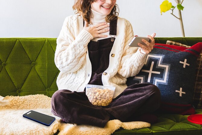 Unlimited WiFi Router - Haneda Airport (Tokyo) Pickup - Key Points