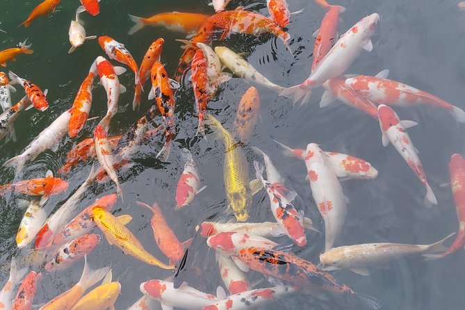 Unlock Magic Golden Bridge & Hills: Local Guide, Smart Minivan - FAQ