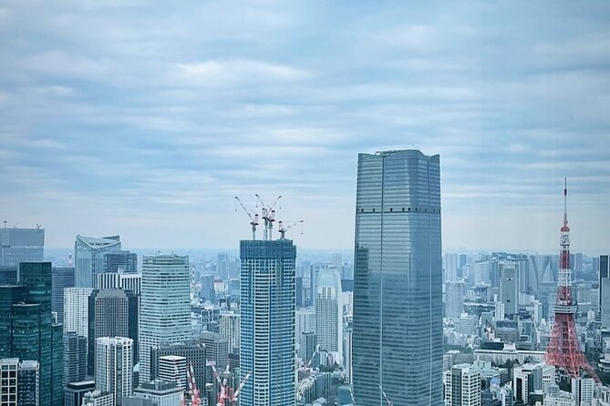 Unlock Tokyo for Your City Private Adventure - Customizing Your Experience