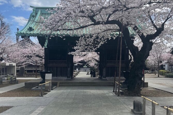 Unlock Tokyo for Your City Private Adventure - Seamless Transportation and Convenience