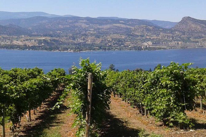 Unmatched Private Wine Tours for Up to 11 in Kelowna Area - Authentic Experiences and Guest Feedback