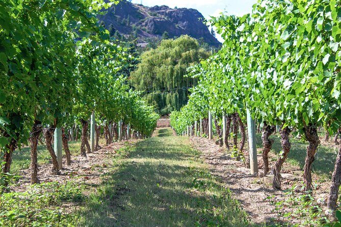 Unmatched Private Wine Tours for Up to 11 in Kelowna Area - Who Will Love This Tour?