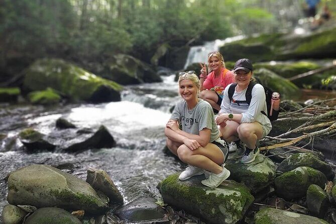 Unplugged Waterfall Hike in the Smokies - Exploring the Itinerary: What to Expect on the Trail