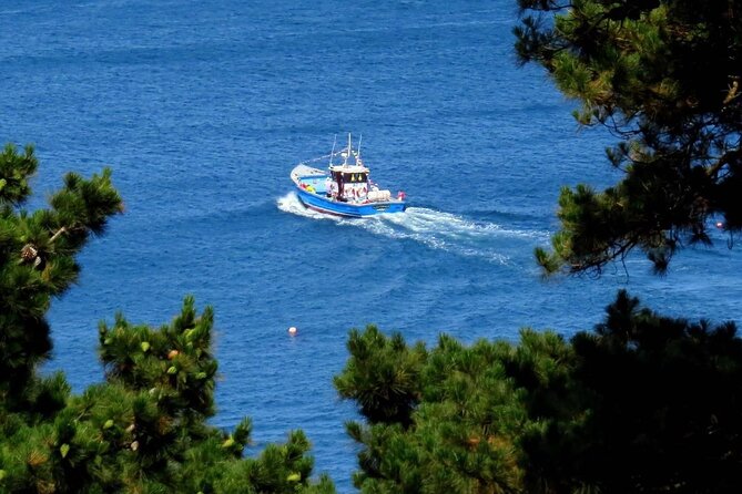 Unrivalled Coastal Tour to Saints Bay Harbour - Pricing and Cancellation Policies