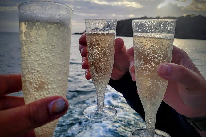 Unrivalled Coastal Tour to Saints Bay Harbour - Traveler Reviews and Ratings