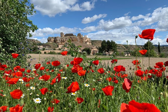 Unspoiled Spain for Foodies and Nature Lovers - A Taste of La Mancha