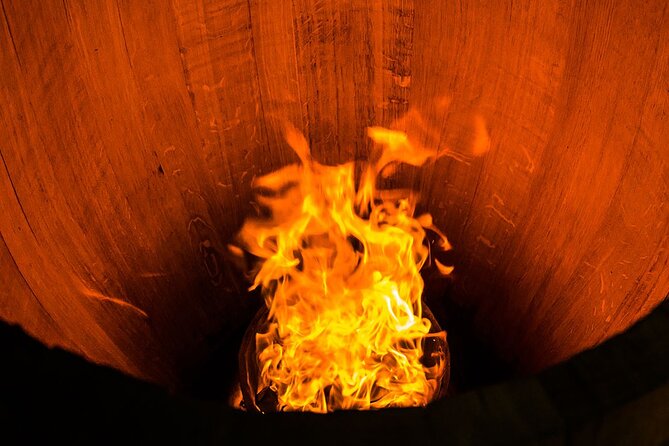 Unusual Wine Tasting in DARWIN (Bordeaux)! - Reviews and Recommendations