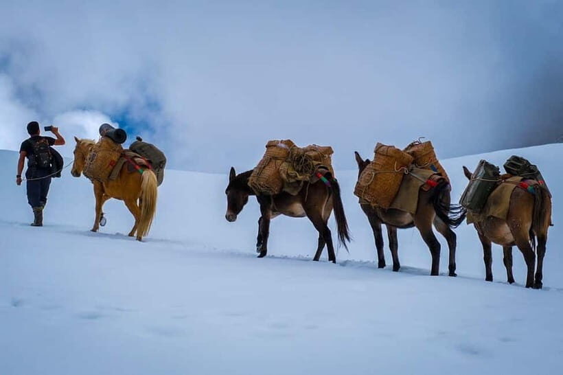"Unveiling the Himalayas: 12-Day Jomolhari Trek Adventure" - An In-Depth Look at the 12-Day Jomolhari Trek Adventure