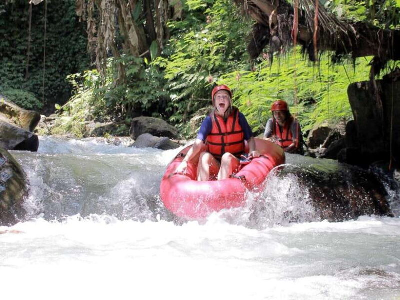 Unwind & Float: Discover Bali Hidden Gems on a River Tubing - The Sum Up: Why This Tour Stands Out