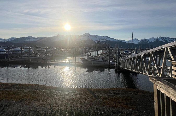 Up to 5 Person Private Anchorage to Seward / Seward to Anchorage - Value for Money: Is It Worth It?