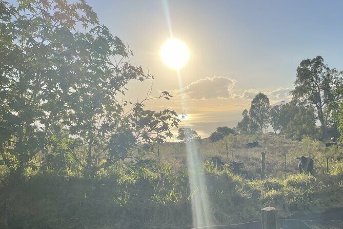 Upcountry Sunset Tour - Who Should Consider This Tour?
