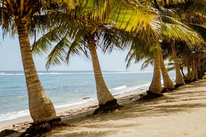 Upolu: Private Tour - Beach, Waterfall and Ocean Trench - Key Points