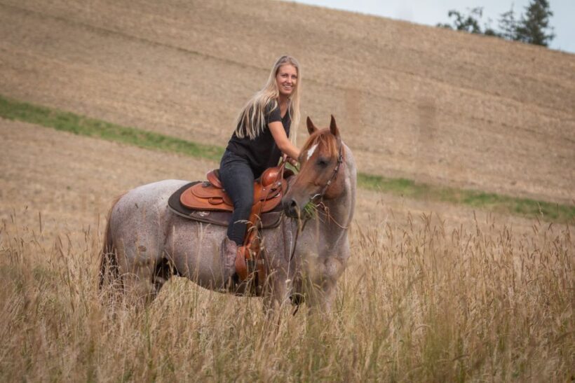 Upper Austria: landscape, forests, meadows - Key Points