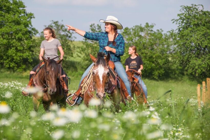 Upper Austria: landscape, forests, meadows - The Experience of Riding in Upper Austria