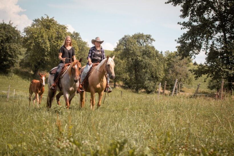Upper Austria: landscape, forests, meadows - Who Will Love This Tour?