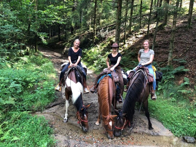 Upper Austria: landscape, forests, meadows - The Sum Up