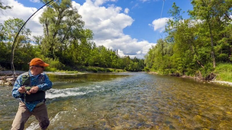 Upper Colorado River Guided Fly Fishing Trip - Key Points