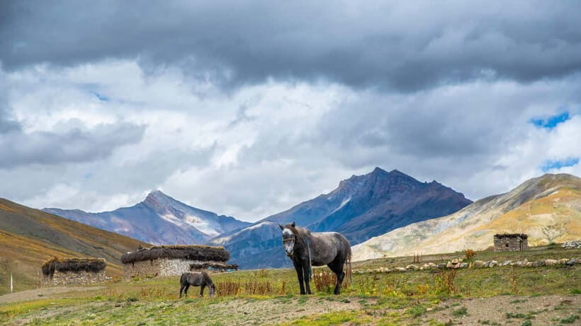 Upper Dolpa Cultural Trek - An In-Depth Look at the Upper Dolpo Cultural Trek