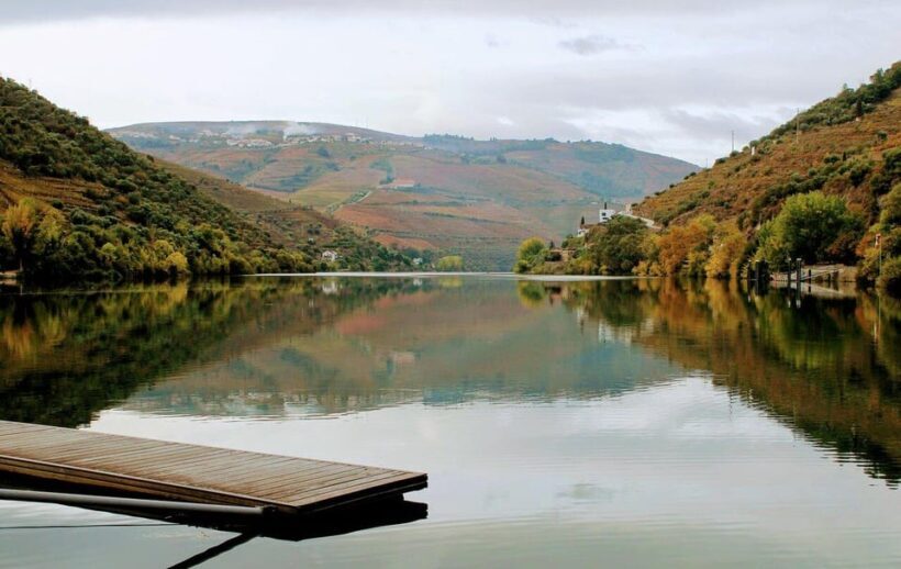 Upper Douro: From Casal de Loivos to Pinhão Walk & Wine Tour - A Deep Dive into the Tour Experience