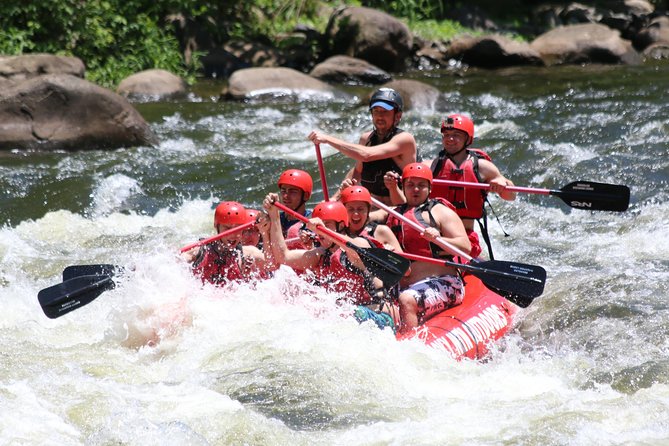 Upper Pigeon River Rafting Trip from Hartford - What Do the Reviews Say?