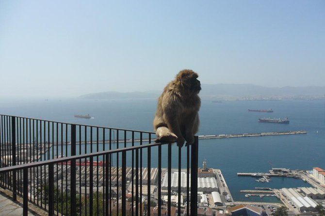 Upper Rock Walking Tour - Booking and Confirmation Information