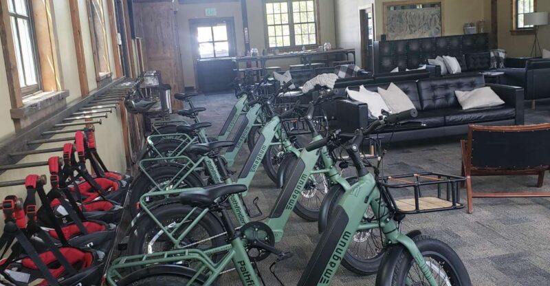 Urban Art and Historical Electric Bike Tour - Authentic Experiences Highlighted by Visitors