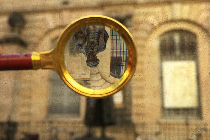 Urban Escape Game: In search of Goya's skull - What the Reviews Say