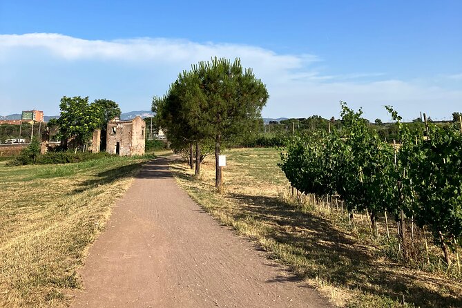 Urban Hike to the Aqueduct Park in Rome - Tour Features and Requirements