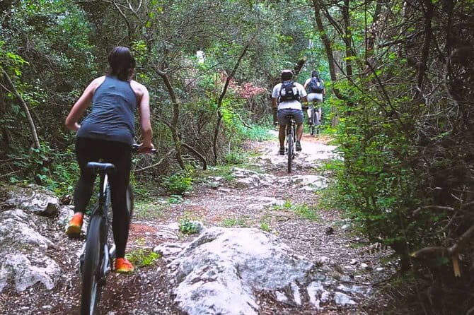 Urban Jungle Trail Cycling Tour from Mount Lavinia - Exploring the Urban Jungle Trail Cycling Tour from Mount Lavinia