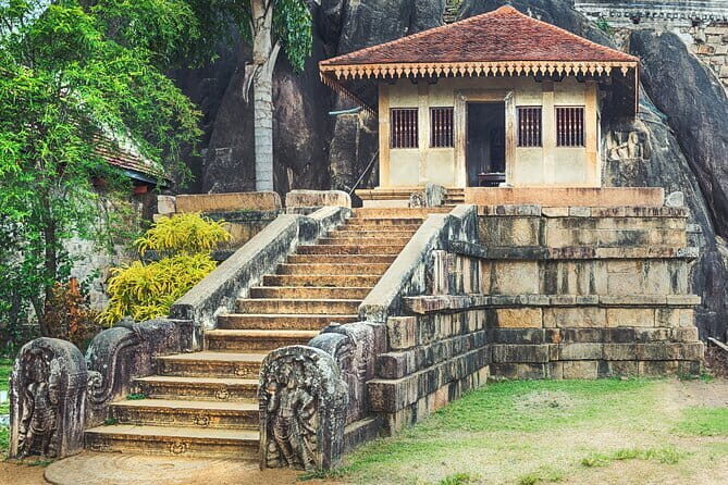Urban Jungle Trail Cycling Tour from Mount Lavinia - Authentic Feedback and Insights