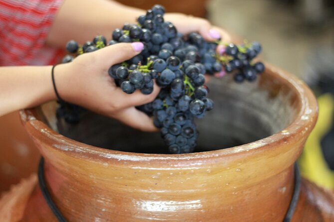 Urban winery tour, premium tasting flight & tapas - Practical Details & Value