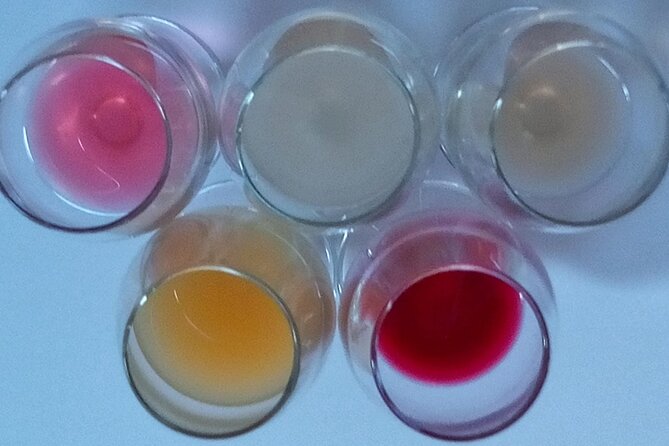 Urban winery tour, premium tasting flight & tapas - Who Should Book This?