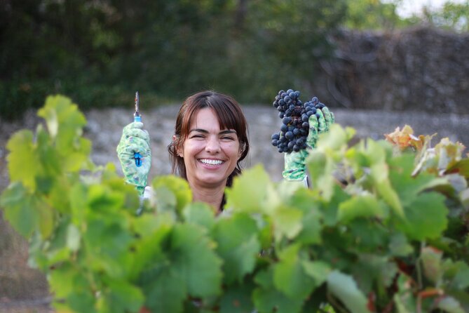 Urban winery tour, premium tasting flight & tapas - FAQ