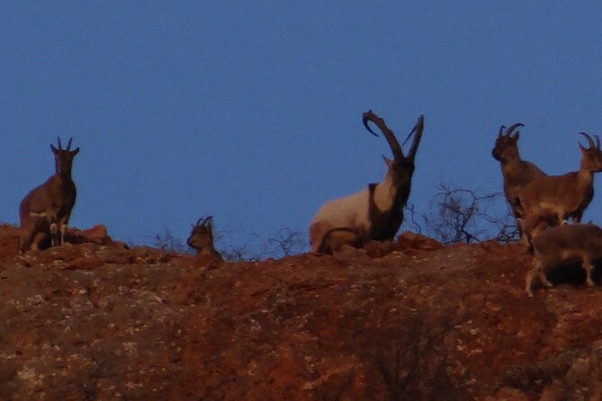 Urbex photo tour in Armenia - The Sum Up