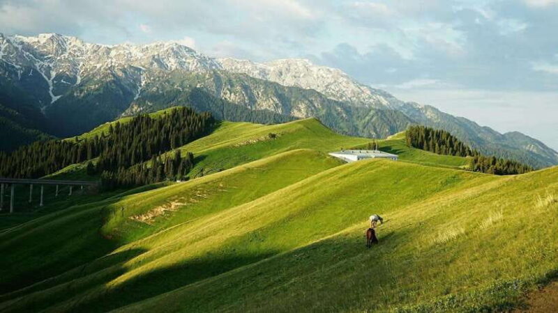 Urumqi: 8-Day Private Tour to Sayram Lake and Yining - Cultural Encounters and Unique Experiences