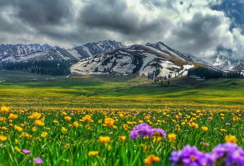 Urumqi: 8-Day Private Tour to Sayram Lake and Yining - FAQ