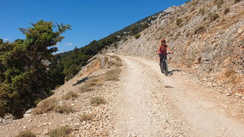 Urzulei: Supramonte Guided E-Bike Tour With Aperitif - E-bike Models and Sizes