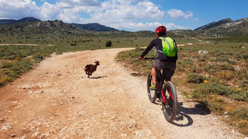 Urzulei: Supramonte Guided E-Bike Tour With Aperitif - Frequently Asked Questions