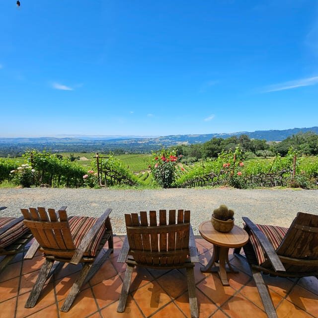 USA/California/Napa: Private Wine Tour for up to 6 guests - The Sum Up