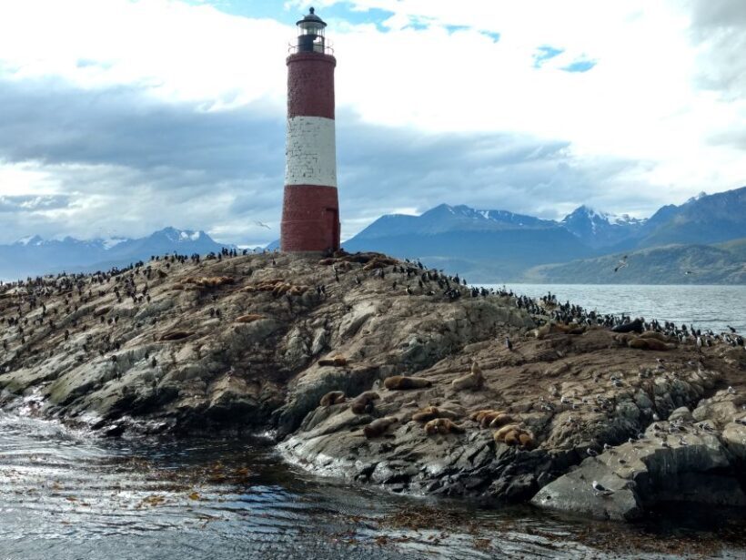 Ushuaia: Beagle Channel & Sea Wolves Island Catamaran Cruise - The Value for Money