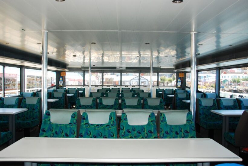 Ushuaia: Beagle Channel & Sea Wolves Island Catamaran Cruise - Practical Tips for Potential Guests