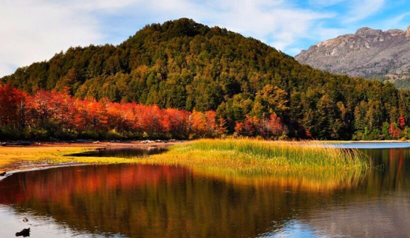 Ushuaia: Beagle Channel, Seal Island & Bridges Islands Tour - Key Points