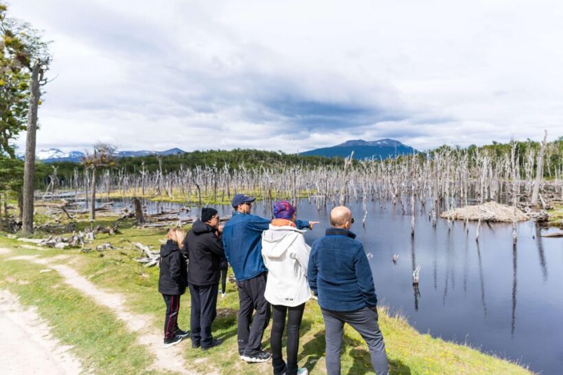 Ushuaia: Escondido & Fagnano Lakes Tour AM - A Deep Dive into the Experience