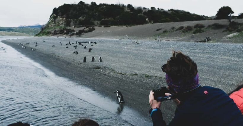 Ushuaia: Gable Island and Penguin Colony with Lunch - Analyzing the Price and Value